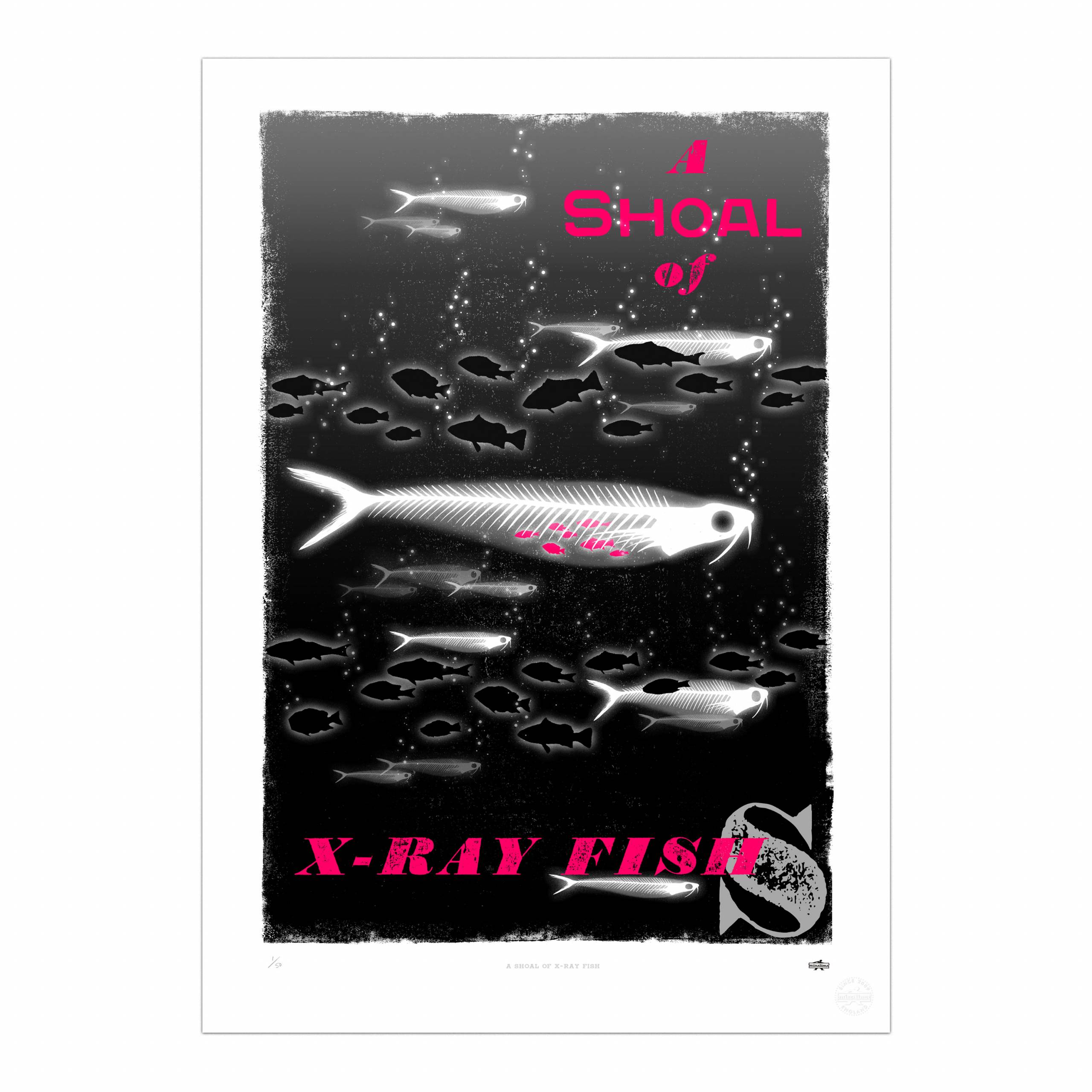 A Shoal of X-Ray Fish Print - MinaLima